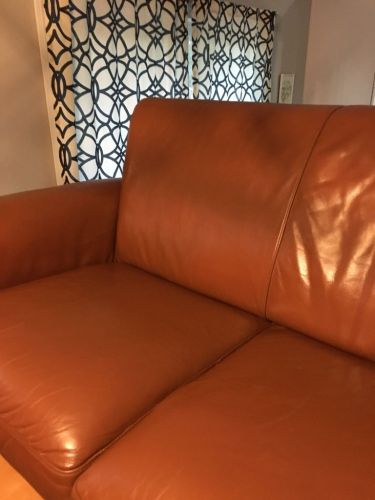 Rust Leather Finish & Conditioning Color for Leather & Vinyl
